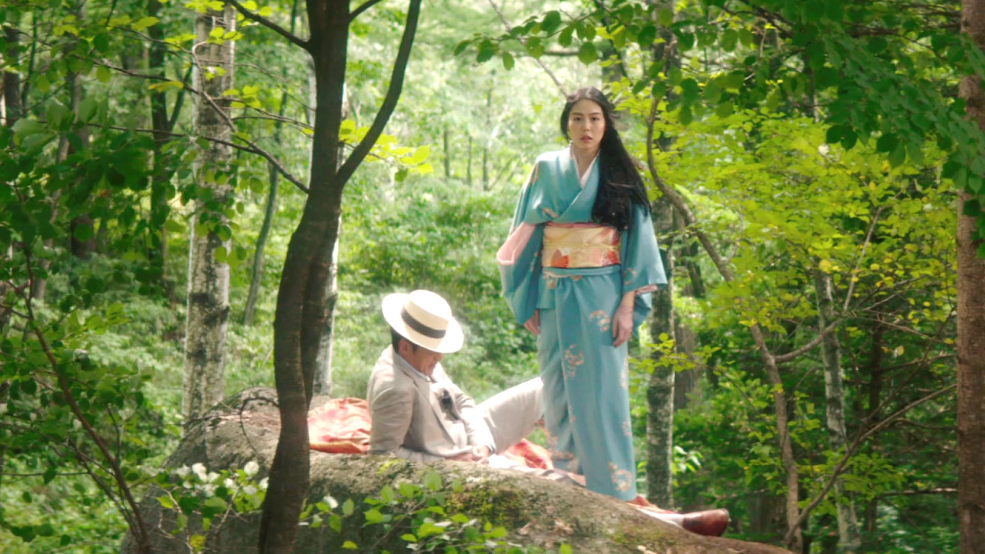 The Handmaiden (Review) – The Film Meister